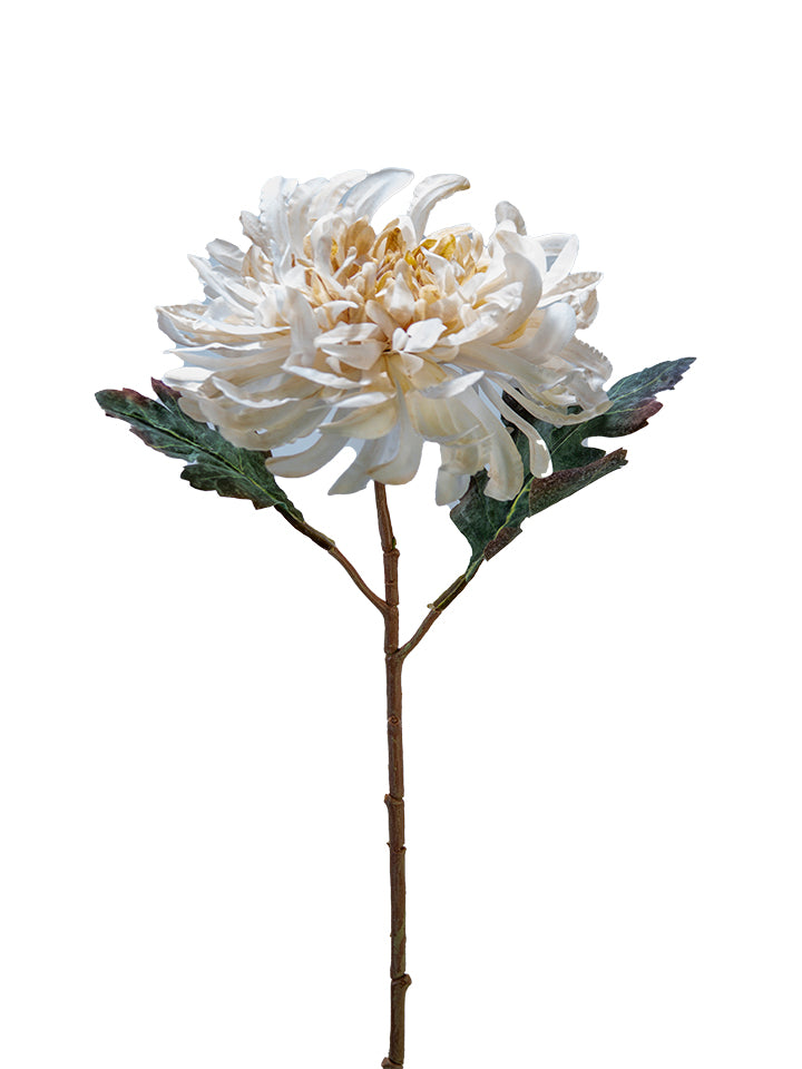 21" CHRYSANTHEMUM STEM – Hulla B'Lu at Stems